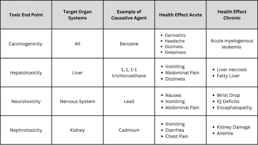 Rutas y grado de exposición - Seguridad y formación avanzadas